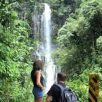 Maui Tour : Road to Hana Day Trip from Kahului Lunch, Water, Chip - Who is This Tour Best For?