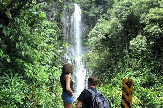 Maui Tour : Road to Hana Day Trip from Kahului Lunch, Water, Chip - Who is This Tour Best For?