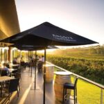 McLaren Vale North Hop-On Hop-Off Wine Tour - Who Should Consider This Tour?