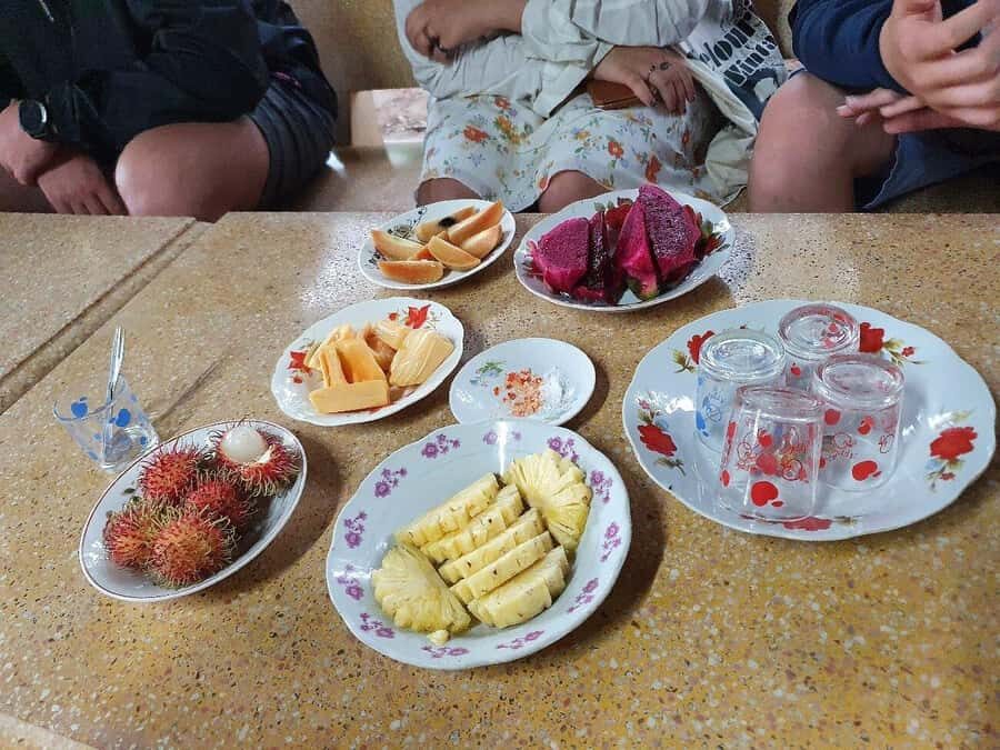 Mekong Delta Day Trip - Group Tour - What Makes This Tour Stand Out?