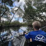 Miami: Clear Kayak Eco Tour with Guide and Wildlife - Why This Tour Is Worth It