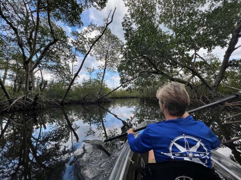 Miami: Clear Kayak Eco Tour with Guide and Wildlife - Why This Tour Is Worth It
