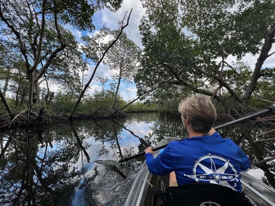 Miami: Clear Kayak Eco Tour with Guide and Wildlife - Why This Tour Is Worth It