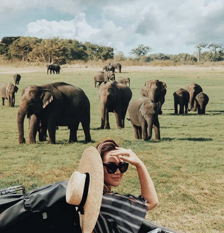 Minneriya National Park: Private Luxury Elephant Safari - The Sum Up