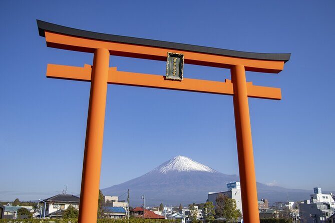 Mt. Fuji Sake and Tea Fields Tour by Private Car - The Experience in Practice