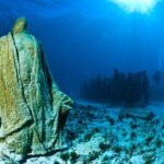 MUSA Diving For Beginners in Cancun - The Day of the Tour: What You Can Expect