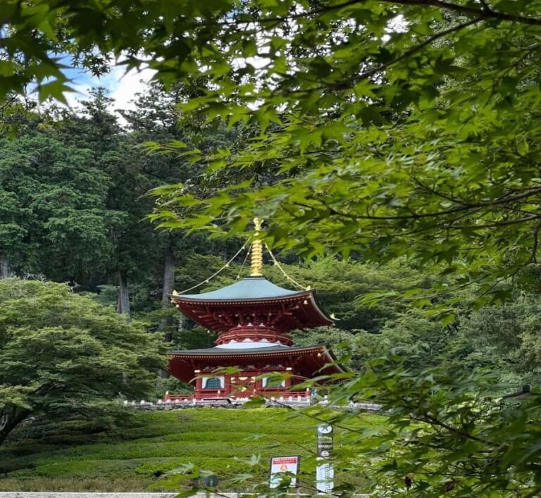 Nagano: Hiroshima Peace Park, Castle & City Tour - Practical Details and Value