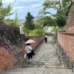 Nagasaki: Hidden Alleys and Finding Local Cats Walking Tour - Meet the Local Cats in Their Urban Habitat
