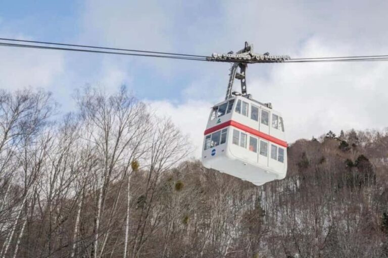 Nagoya return day tour Shin-Hotaka Ropeway& Hida Takayama - Who Should Sign Up?