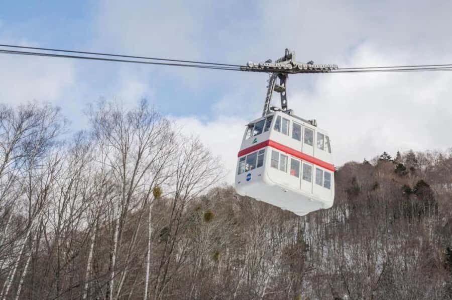 Nagoya return day tour Shin-Hotaka Ropeway& Hida Takayama - Who Should Sign Up?
