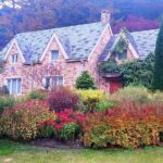 Nami Island , Elysian Ski and Morning Calm Garden Experience - What Does the Tour Include and Exclude?