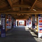 Nami Island Private Photo Tour with options - What Travelers Say