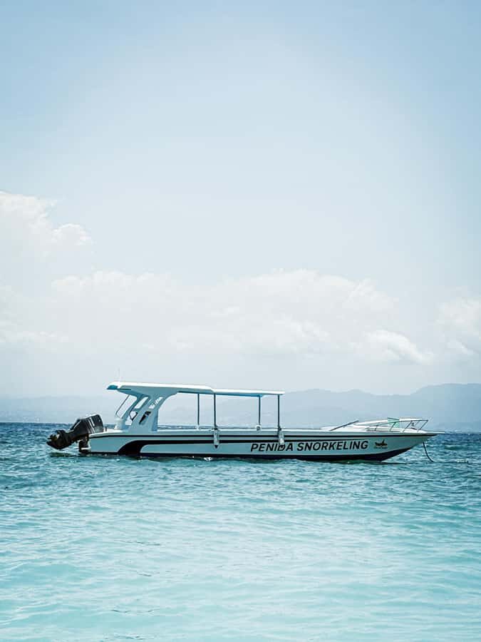 Nusa Penida: Snorkeling Tour with Manta Rays and Turtles - Authentic Traveler Perspectives