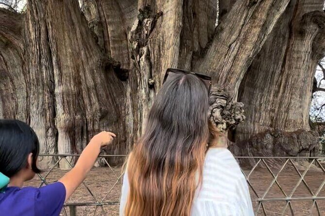 Oaxaca Vivo: Tapetes, Alebrijes Mezacal Monte Albán and more! - What’s Included and What to Expect