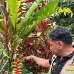 Organic Coffee Tour in the Sierra de Pluma Hidalgo - A Detailed Look at the Coffee Tour Experience