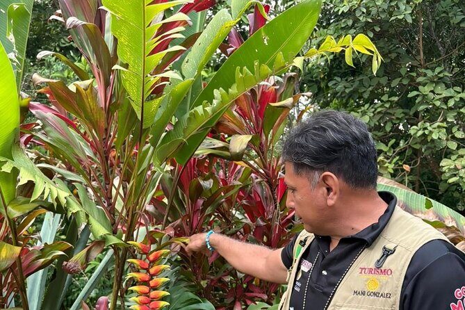 Organic Coffee Tour in the Sierra de Pluma Hidalgo - A Detailed Look at the Coffee Tour Experience