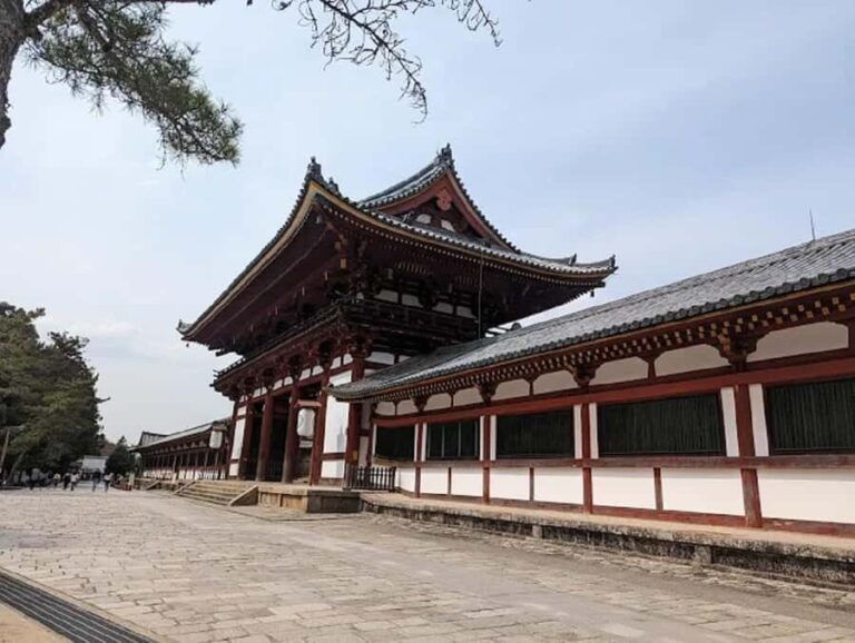 Osaka: Discovering Nara Timeless Grace Guided Tour - Transportation and Practicalities