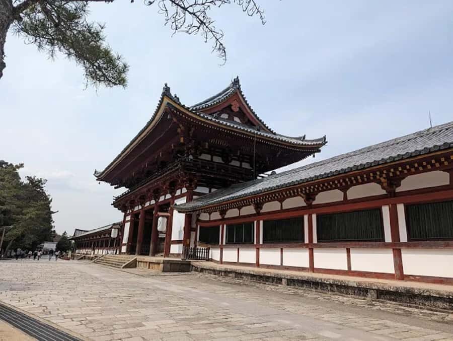 Osaka: Discovering Nara Timeless Grace Guided Tour - Transportation and Practicalities