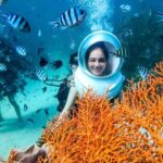 Phu Quoc Escape Boat Journey to Two Stunning Islands - Who Would Love This Tour?