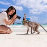 Phuket: Phi Phi Islands, Bamboo Island and Pileh Lagoon Trip - The Experience – What Travelers Are Saying