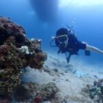 Phuket: Try SCUBA DIVING Full Day Experience 2 Dives - What Sets This Tour Apart