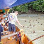 Private Mangrove Forest Experience with Floating& Railway Market - A Deep Dive into the Tour Experience