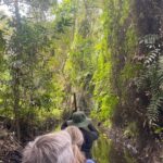 Private Mekong Delta Tour: Cai Be Village and Cajuput Forest - Authentic Experiences and Local Flavors