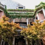 Private Shanghai Walking Tour:Shikumen,Jade Buddha,M50,1000 TREES - A Detailed Look at the Itinerary