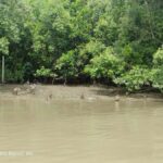 Private Unseen Mangrove Forest and Floating & Railway Market - Mangrove Forest Conservation Center