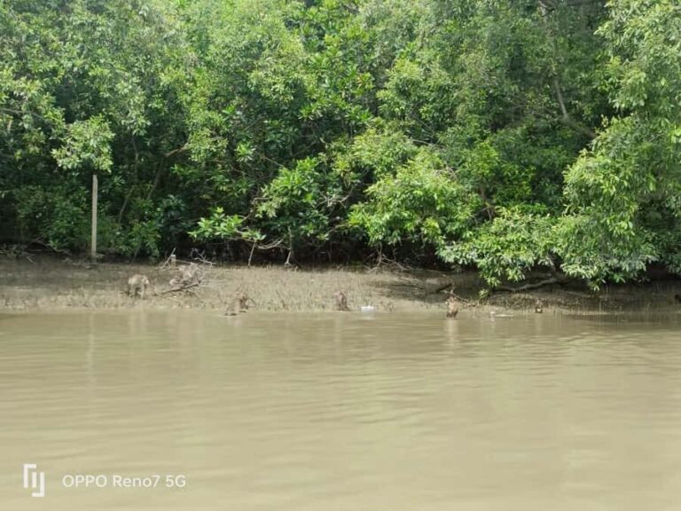 Private Unseen Mangrove Forest and Floating & Railway Market - Mangrove Forest Conservation Center