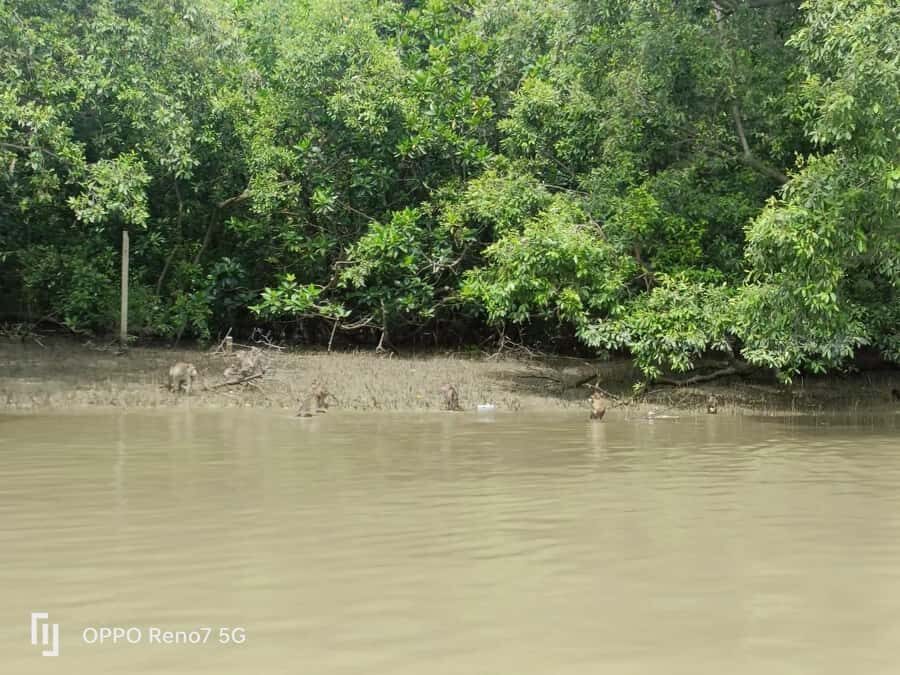 Private Unseen Mangrove Forest and Floating & Railway Market - Mangrove Forest Conservation Center
