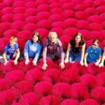 Quang Phu Cau Incense Village to Ninh Binh Small Group Day Tour - Who Is This Tour Best For?