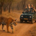 Ranthambore Tiger Safari in Open canter with Wildlife Guide - The Itinerary in Detail