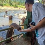 Reliable Airport Transfers and Tours in Sri Lanka - FAQ