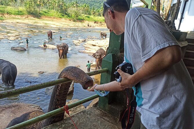 Reliable Airport Transfers and Tours in Sri Lanka - FAQ