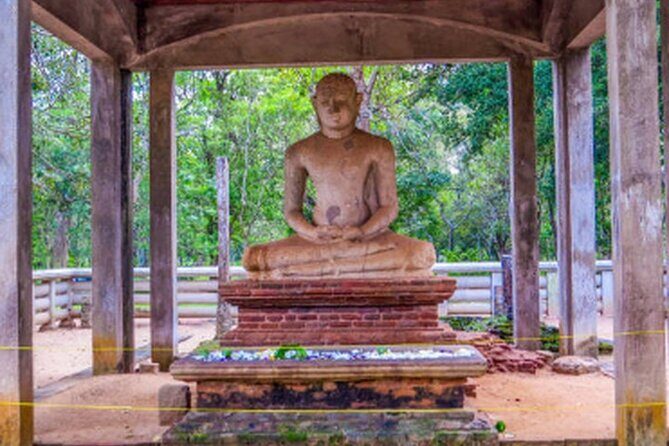 Ride Through Ruins: Anuradhapura Day Tour by Tuk Tuk - The Practicalities