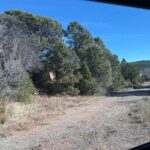 Route 66 Driving Tour, The Mother Road Revealed - Who Will Love This Tour?