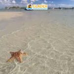 Samal Island: Island Hopping Tour - The Experience and What Travelers Say