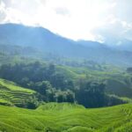 Sapa: Y Linh Ho, Lao Chai, and Ta Van Trekking Tour - What Makes This Trek Special?