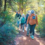 Sedona: 2 Hour Guided Vortex Tour with Red Rock Trail Hike - The Value and Who Its For