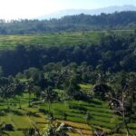 Sendang Gile and Tiu Kelep Waterfall Tour - Private Day Tour - Transportation and Practicalities