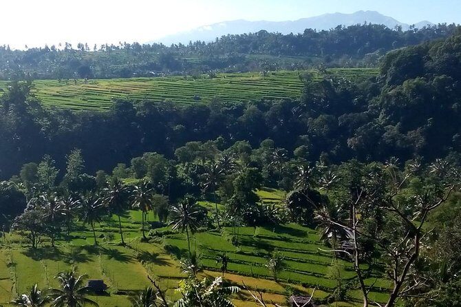 Sendang Gile and Tiu Kelep Waterfall Tour - Private Day Tour - Transportation and Practicalities