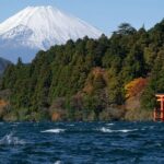 Shore Excursion Private Mt Fuji and Hakone Tour from Shimizu Port - The Value of a Private Tour