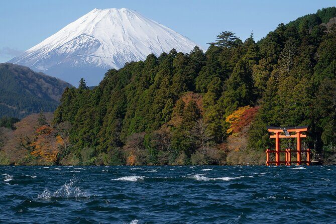 Shore Excursion Private Mt Fuji and Hakone Tour from Shimizu Port - The Value of a Private Tour
