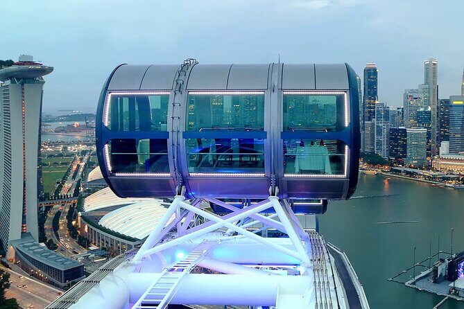 Singapore Flyer Observation Wheel Pass - Who Will Love the Singapore Flyer?