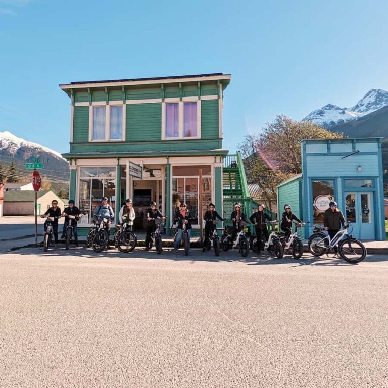 Skagway: E-Bike Rental - What Makes the E-Bike Experience Special?