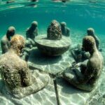 Snorkeling and Speed Boat Tour - The Value of Your Ticket