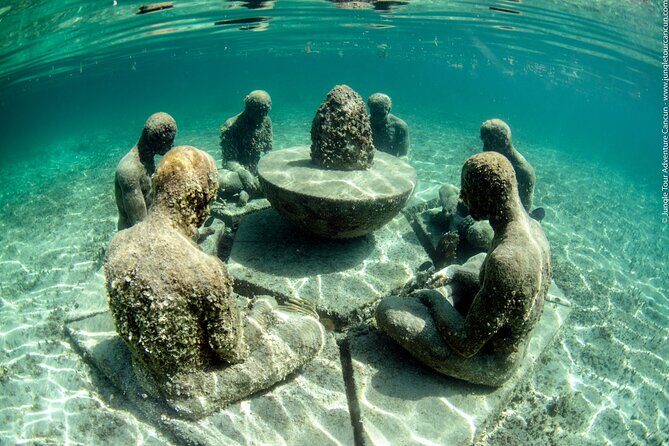 Snorkeling and Speed Boat Tour - The Value of Your Ticket