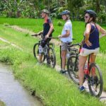 South Ubud: Electric Mountain Bike Tour - Heart of the Rice Fields - Half Day (Private) - What the Reviews Say