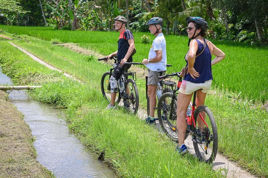 South Ubud: Electric Mountain Bike Tour - Heart of the Rice Fields - Half Day (Private) - What the Reviews Say